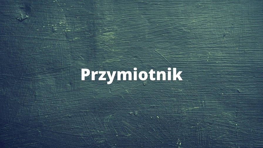 Przymiotnik - do czego służy i jakie pełni funkcje? - Język polski